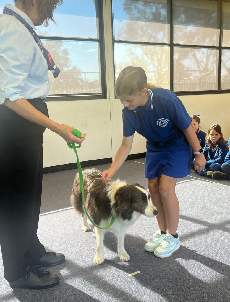 Responsible Pet Ownership Program - OFFICER PRIMARY SCHOOL