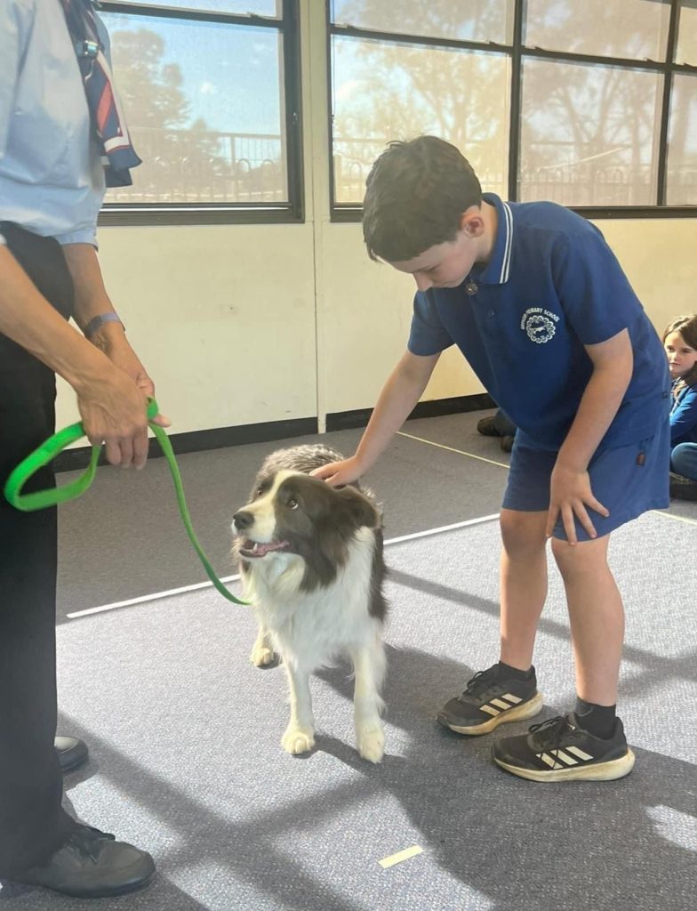 Responsible Pet Ownership Program - OFFICER PRIMARY SCHOOL