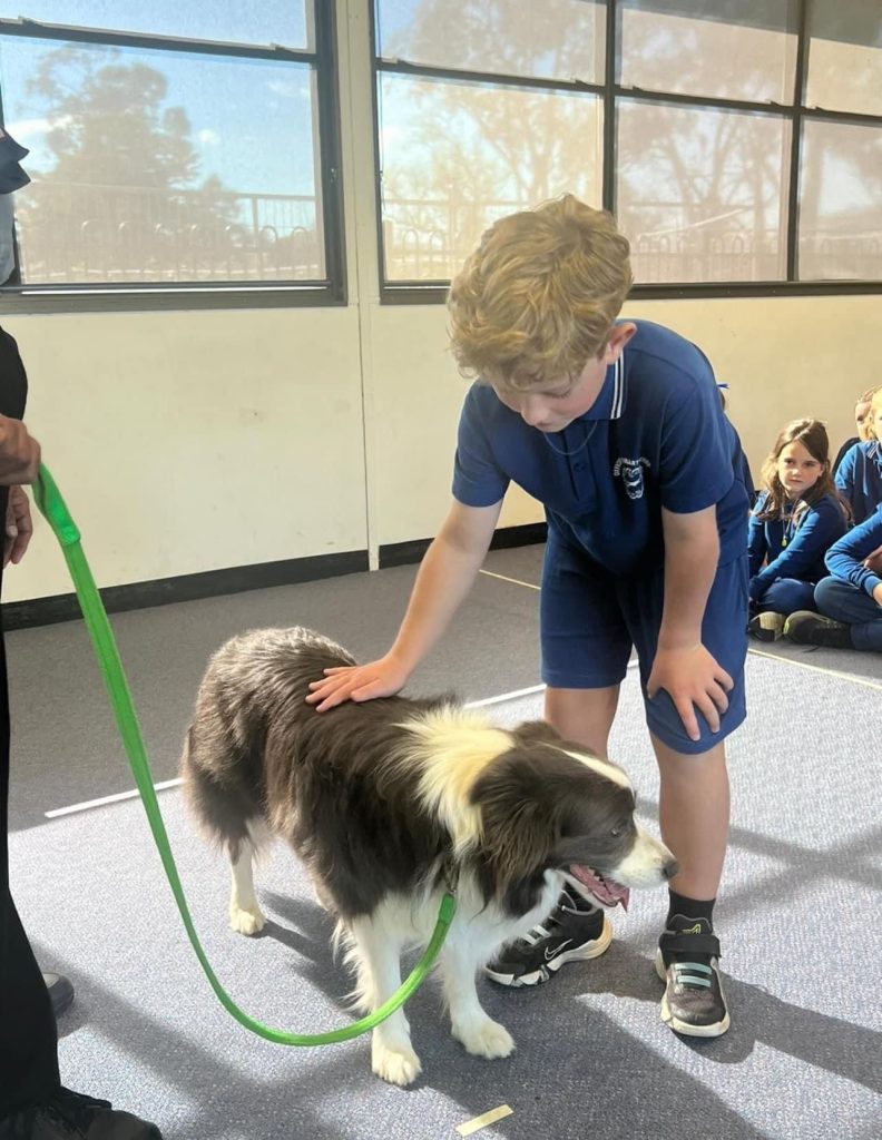 Responsible Pet Ownership Program - OFFICER PRIMARY SCHOOL