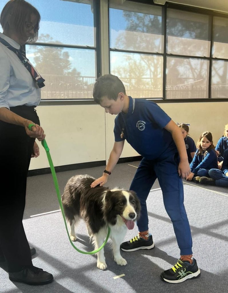 Responsible Pet Ownership Program - OFFICER PRIMARY SCHOOL